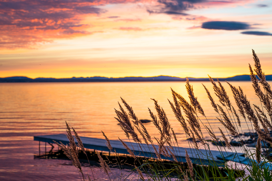 Invest in Dalarna - Orsa